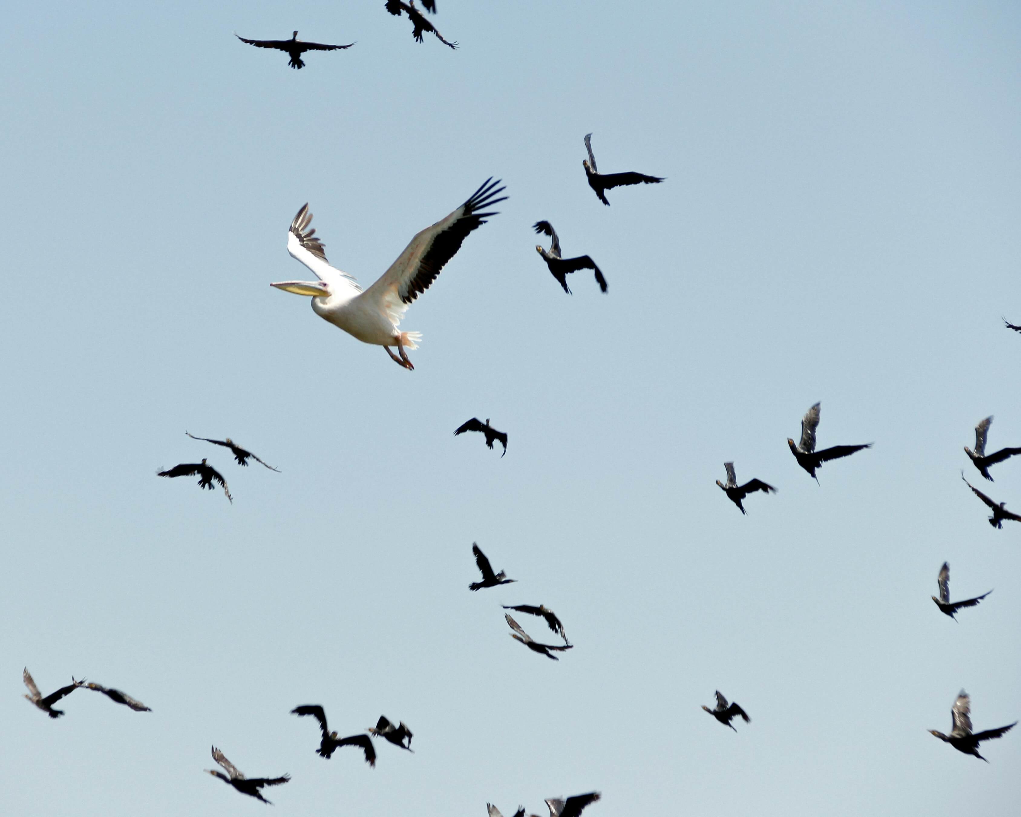 Busting the DAM Migration Myth in Three Easy Steps | LightRocket